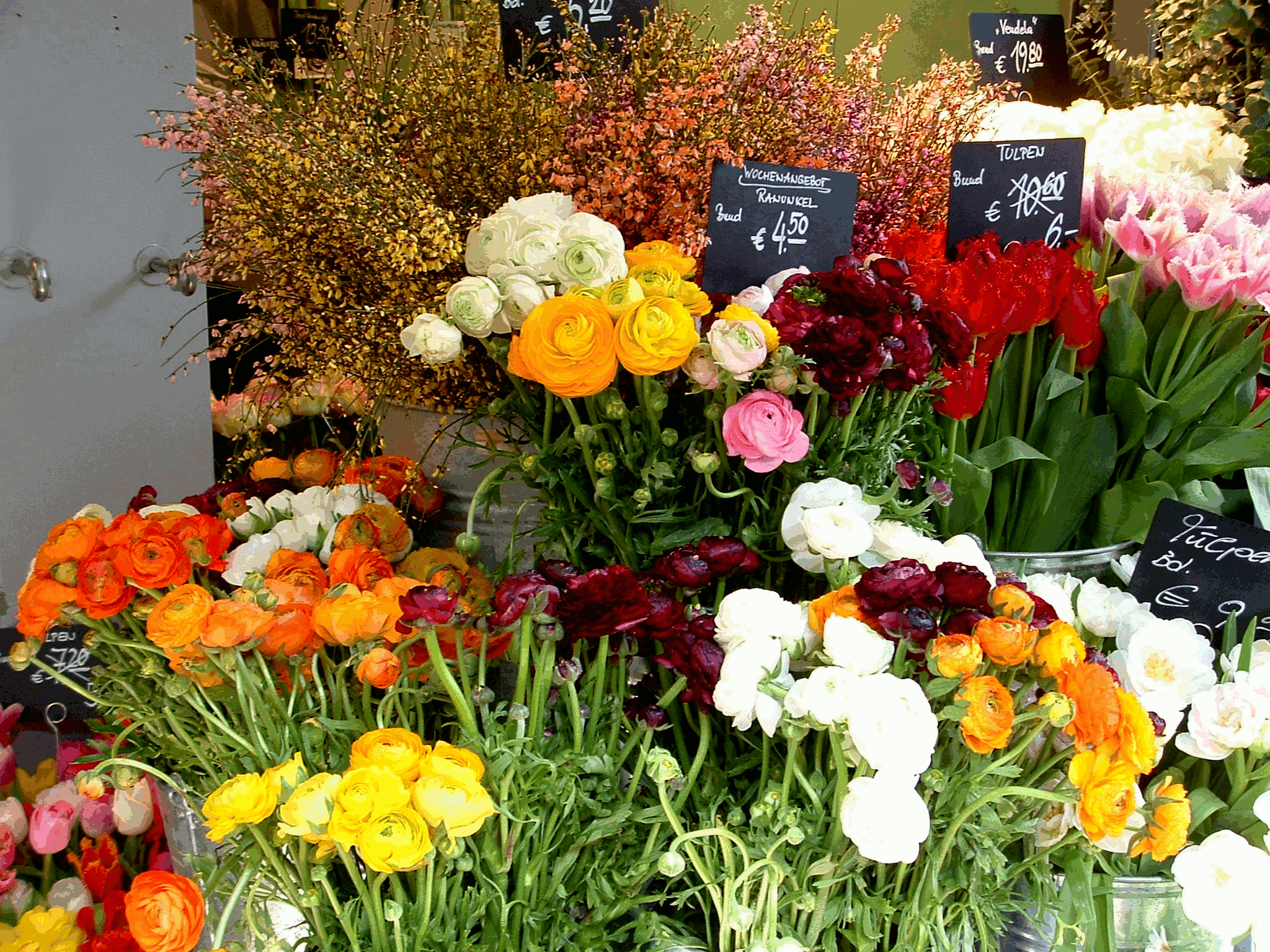 Joy E. Hecht, Photography, shops around the world, Vienna florist